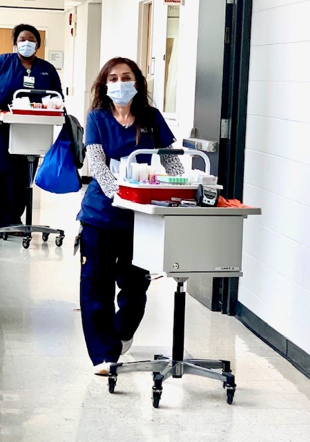 Rush Celebrates Its Medical Laboratory Professionals