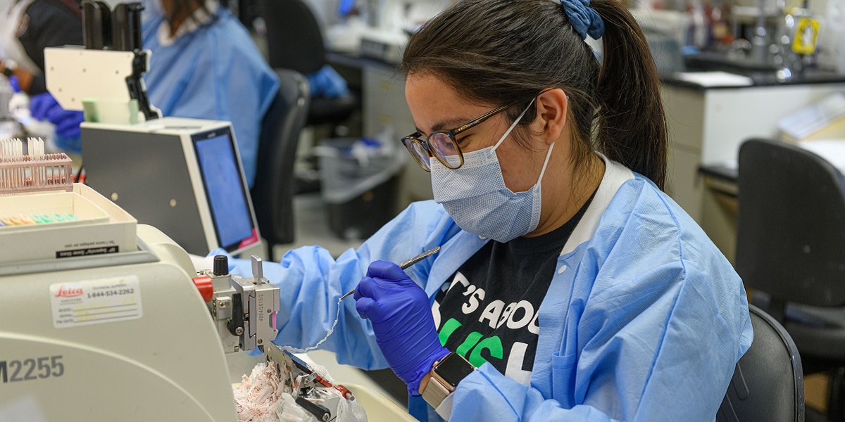 Medical Laboratory Week 2022